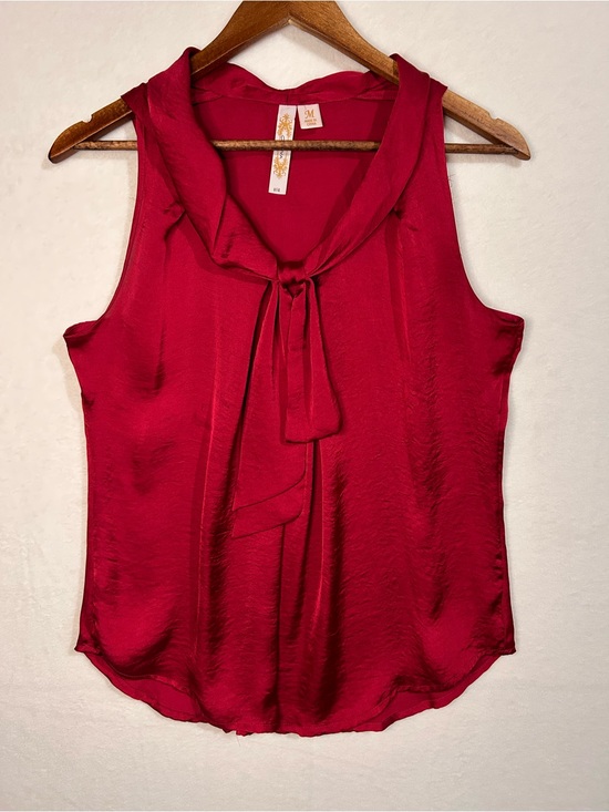 Adiva | Tops | Adiva Red Satin Tieneck Sleeveless Camisole | Poshmark